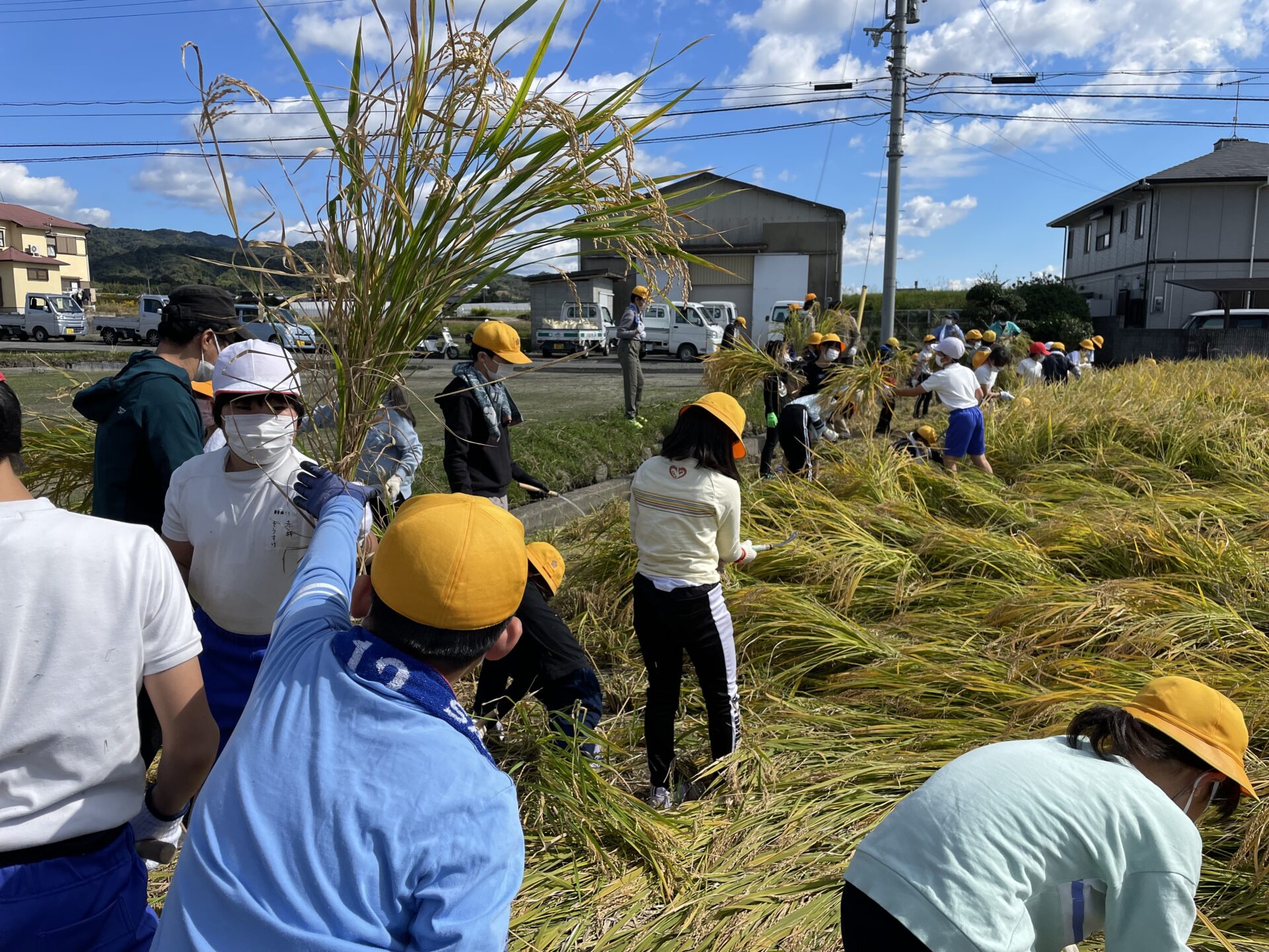 IMG_9985[メディア] | 紀の川市立池田小学校